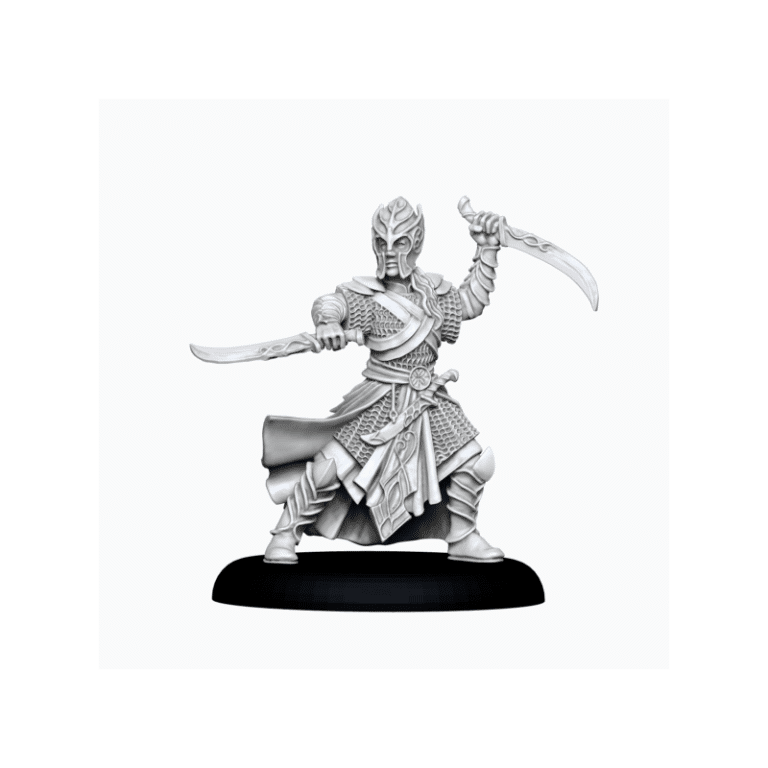 Noble Elf Bladesinger by Unreleased Miniatures